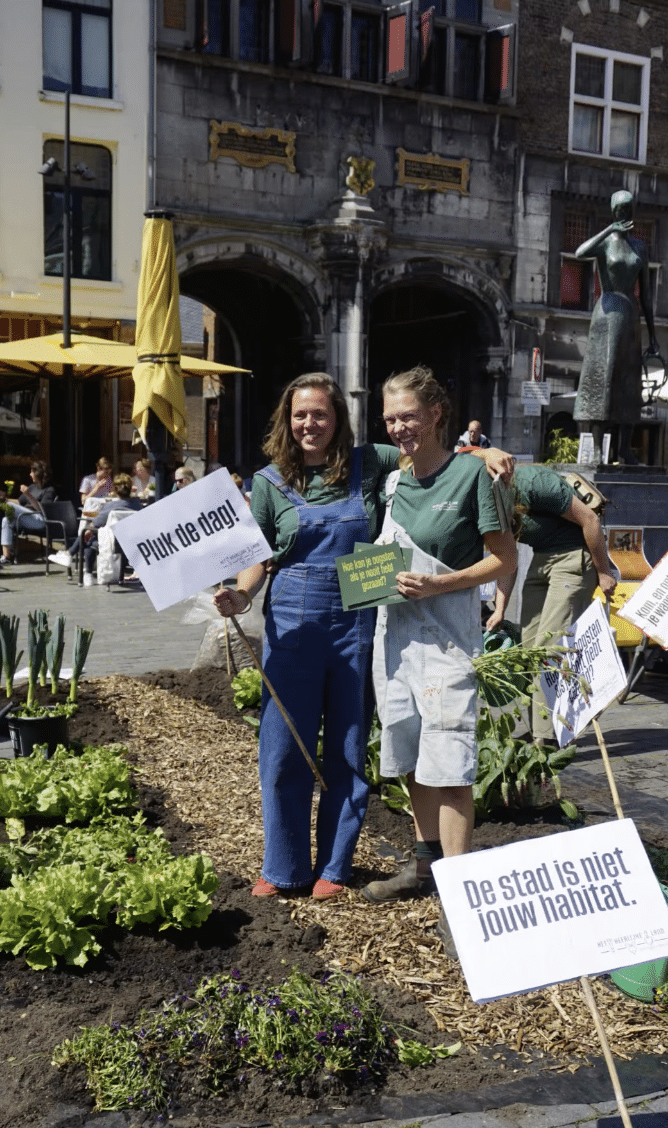Een moestuin op de Grote Markt in Nijmegen - De Streek op Tafel
